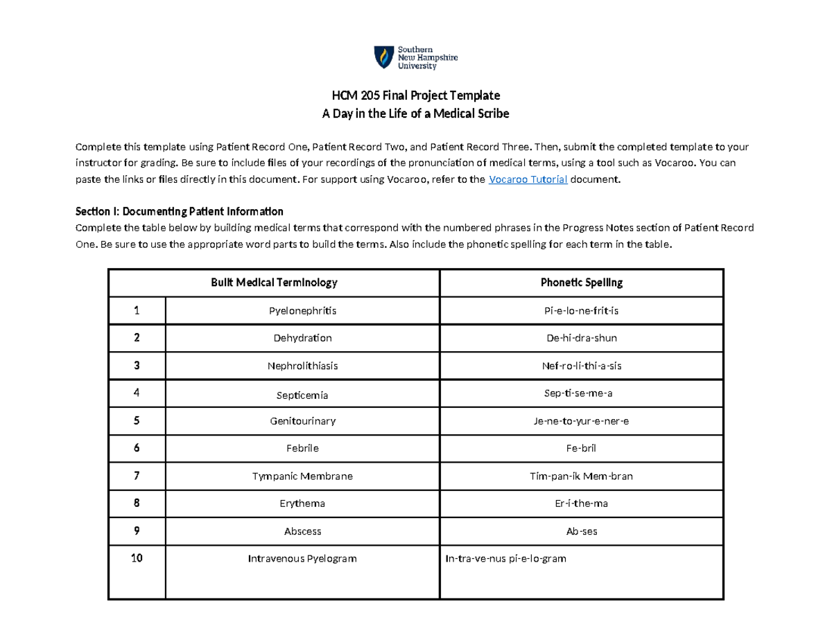 HCM 205 Final Project Template: A Day in the Life of a Medical Scribe ...