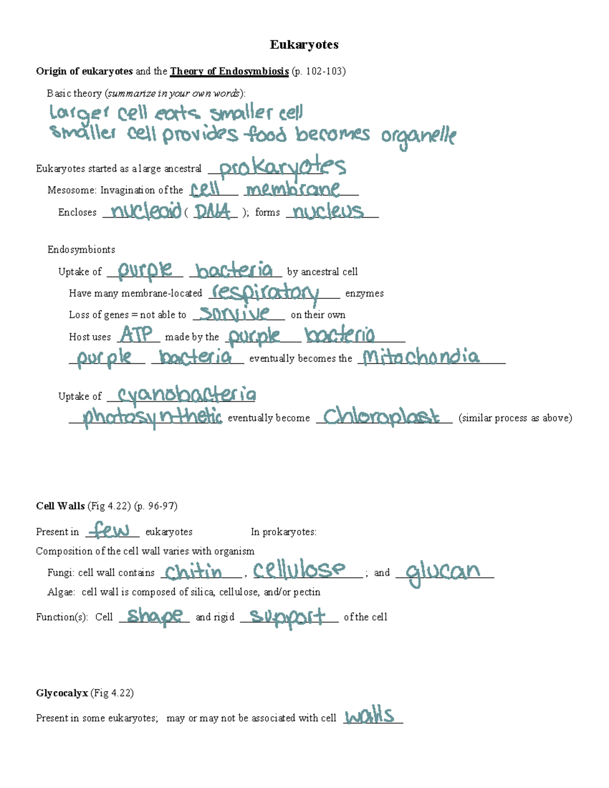Eukaryotic Cell Structure Function Lecture Notes Bio101 Studocu