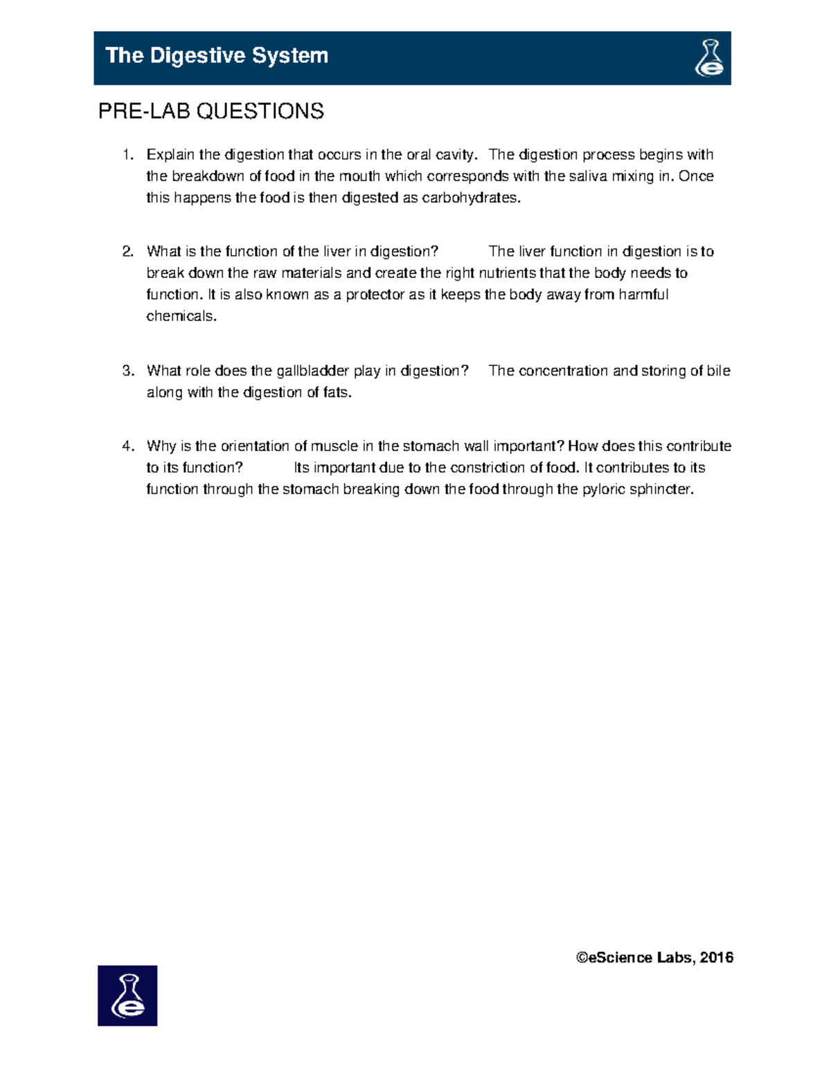 AP 5069 L16 Digestive System AP LAB - PRE-LAB QUESTIONS Explain the ...