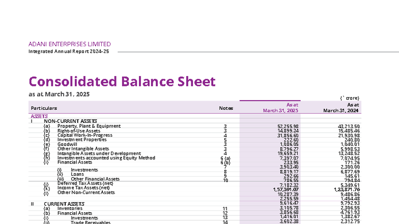 ADANI ENTERPRISES LIMITED Consolidated Balance Sheet as of March 31 ...