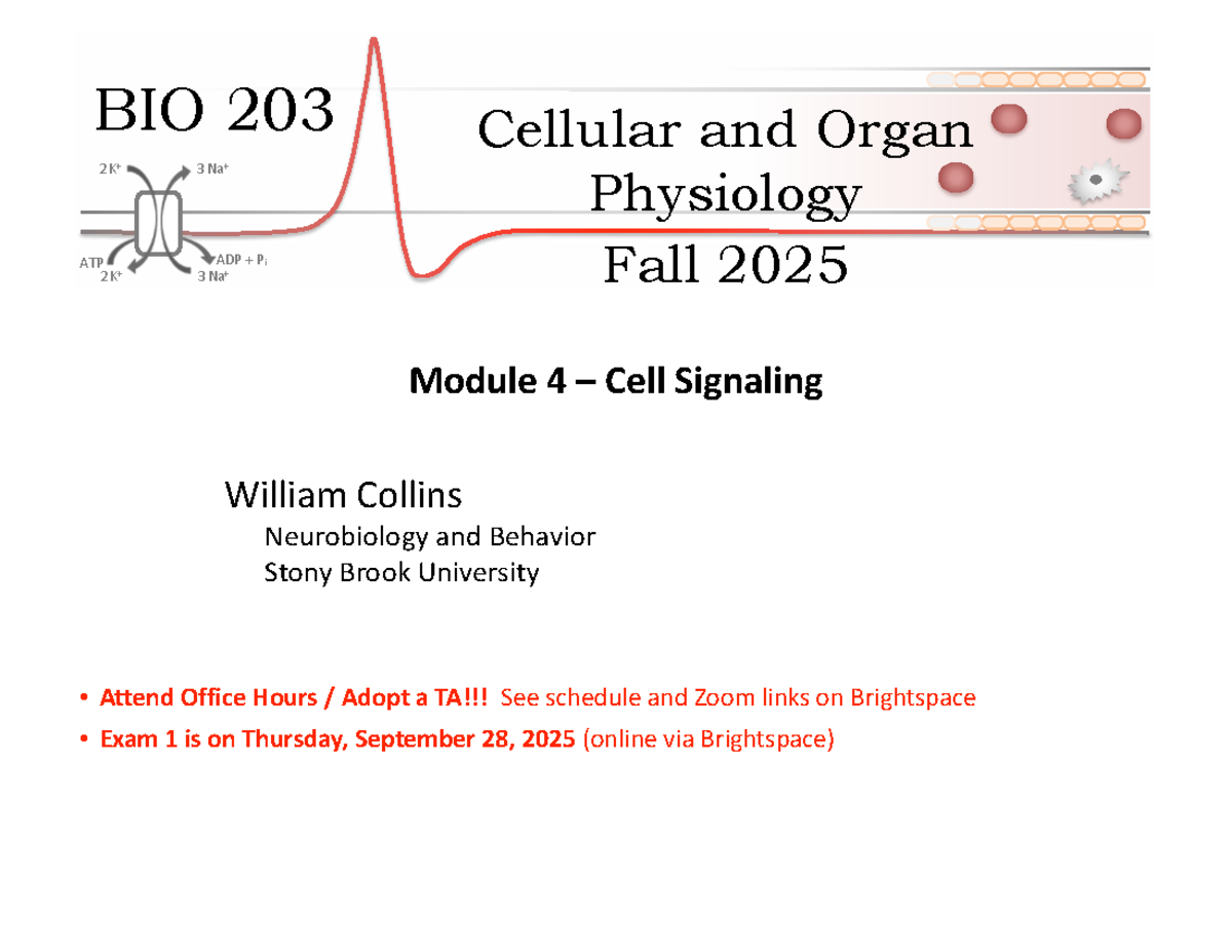 BIO 203 F25 Module 4 - Cell Signaling Overview and Exam Prep - Studocu