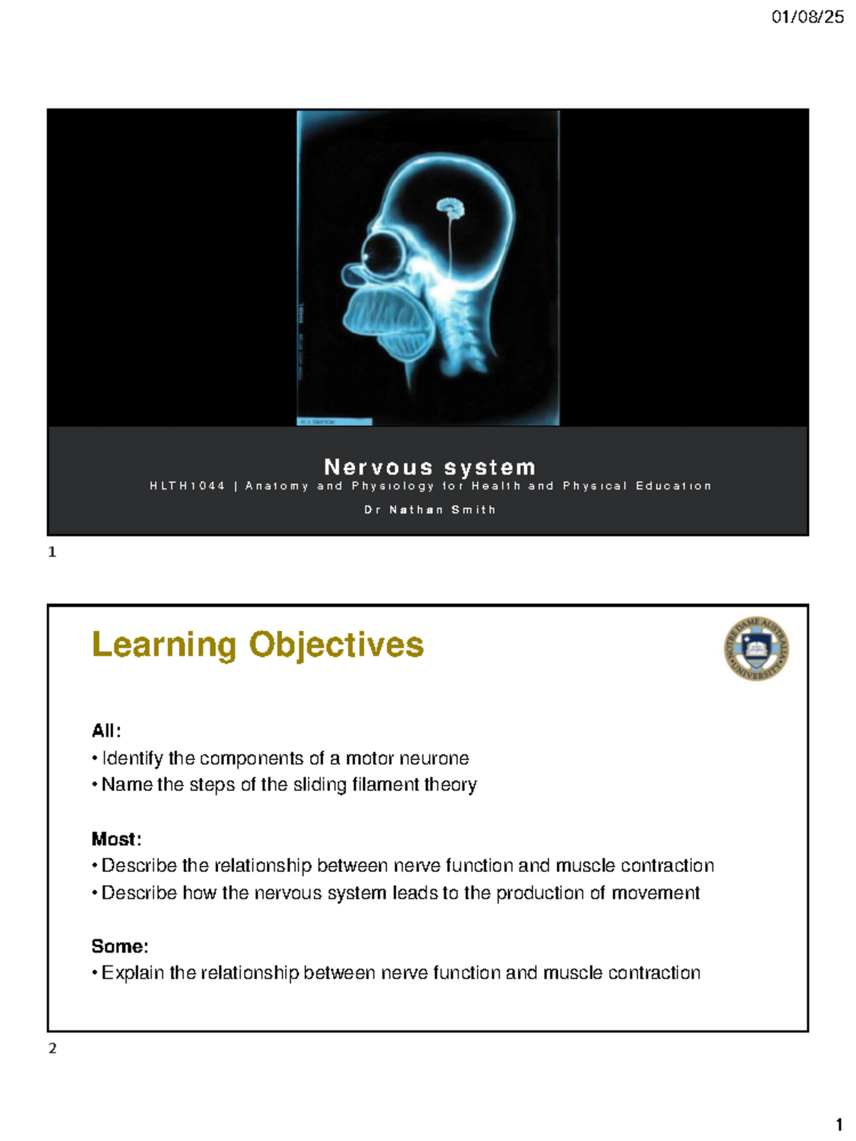 HLTH1044 Nervous System: Anatomy & Physiology Study Notes - Studocu