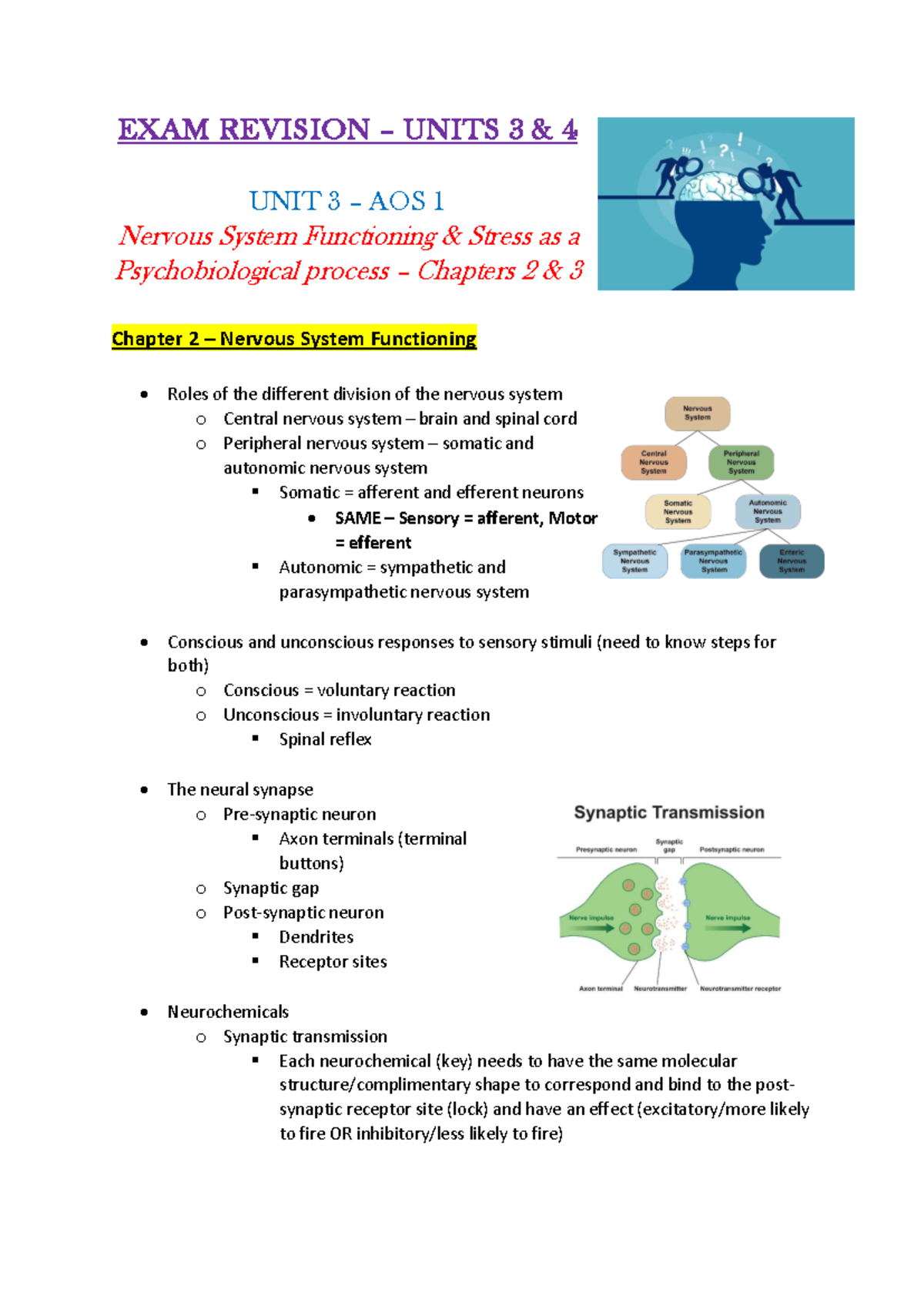 PSY101 Final Exam Revision: Nervous System & Stress Processes - Studocu