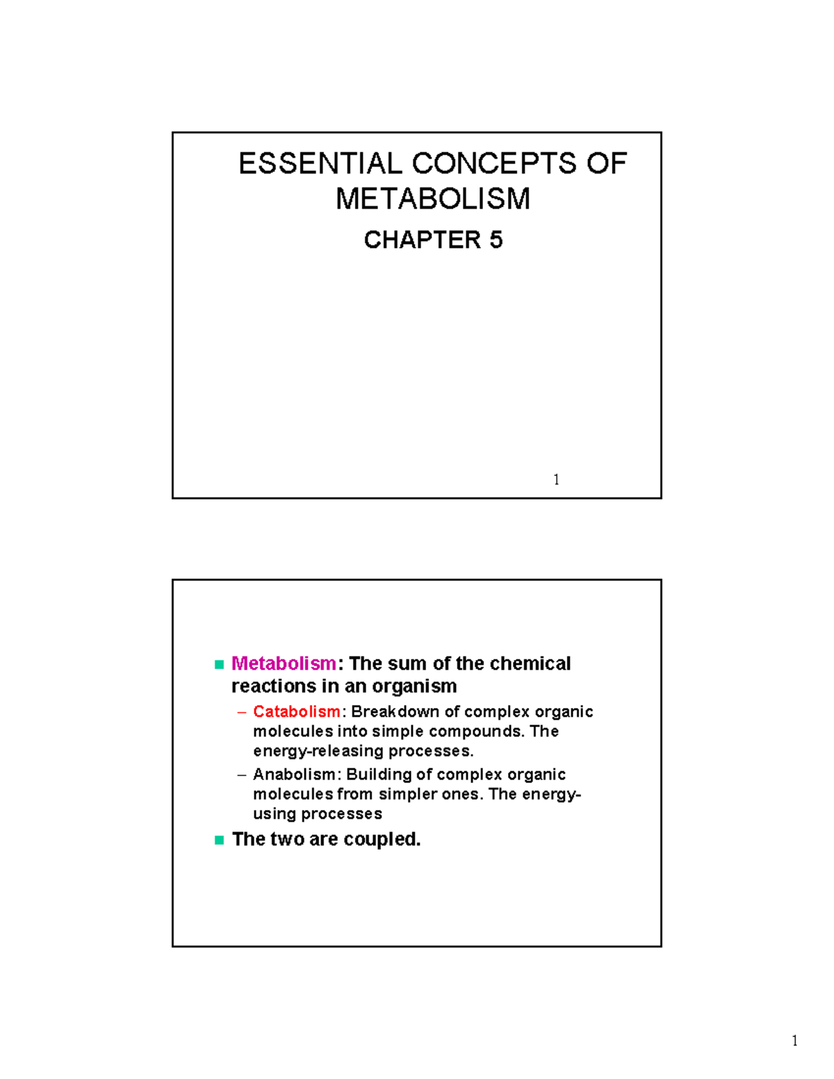 Biochemical Mechanisms: Enzymatic Reactions & Metabolism (Chapter 5) - Studocu