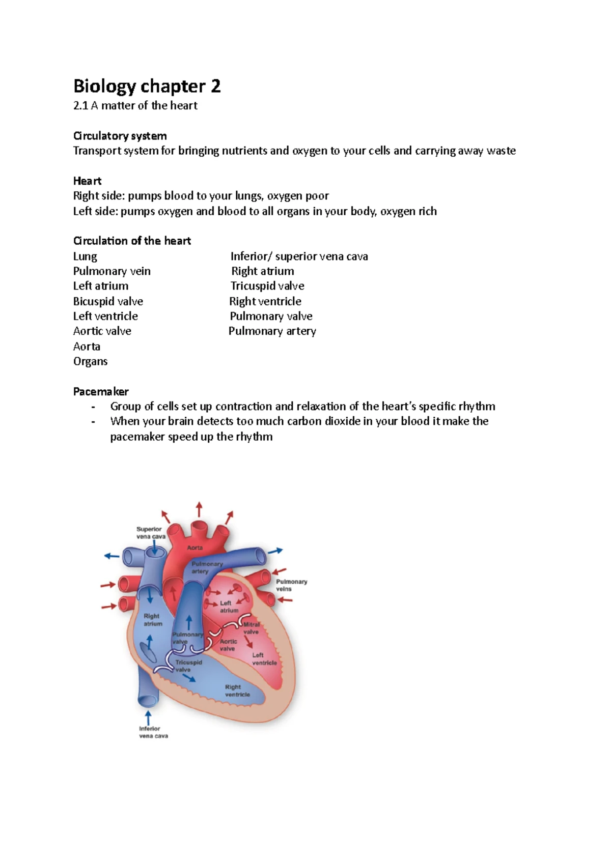 Samenvatting Biologie Hoofdstuk 4: Voortplanting en Ontwikkeling - Studeersnel