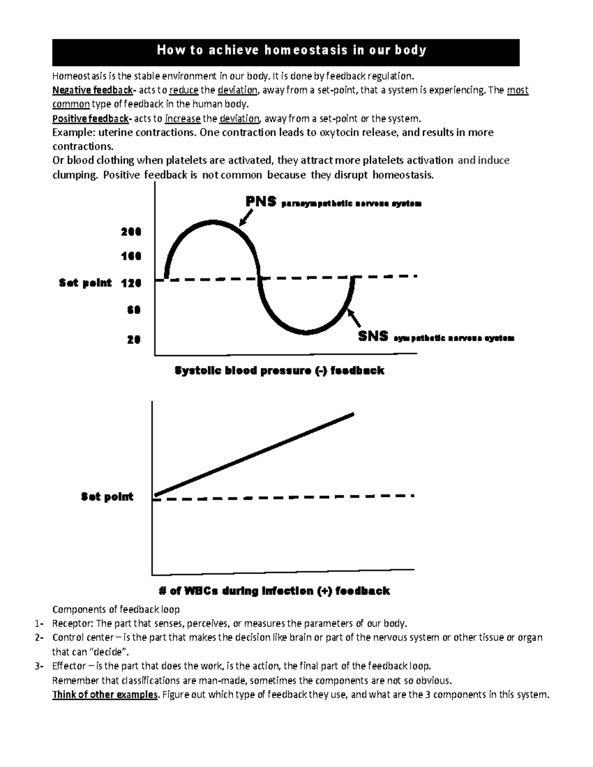 Homeostasis & Nervous System Concepts - BIO101 Lecture Notes - Studocu