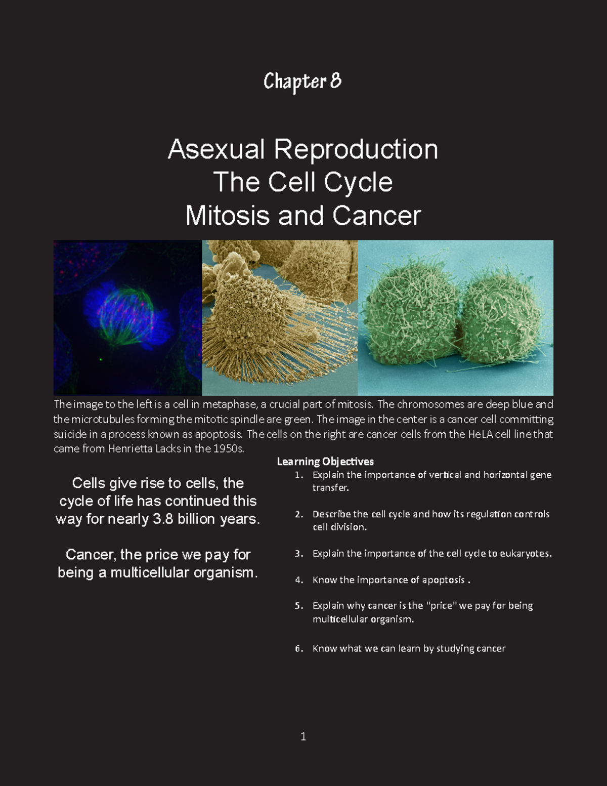 Cell Cycle Overview and Cancer Implications (BIO 101 Lecture Notes ...