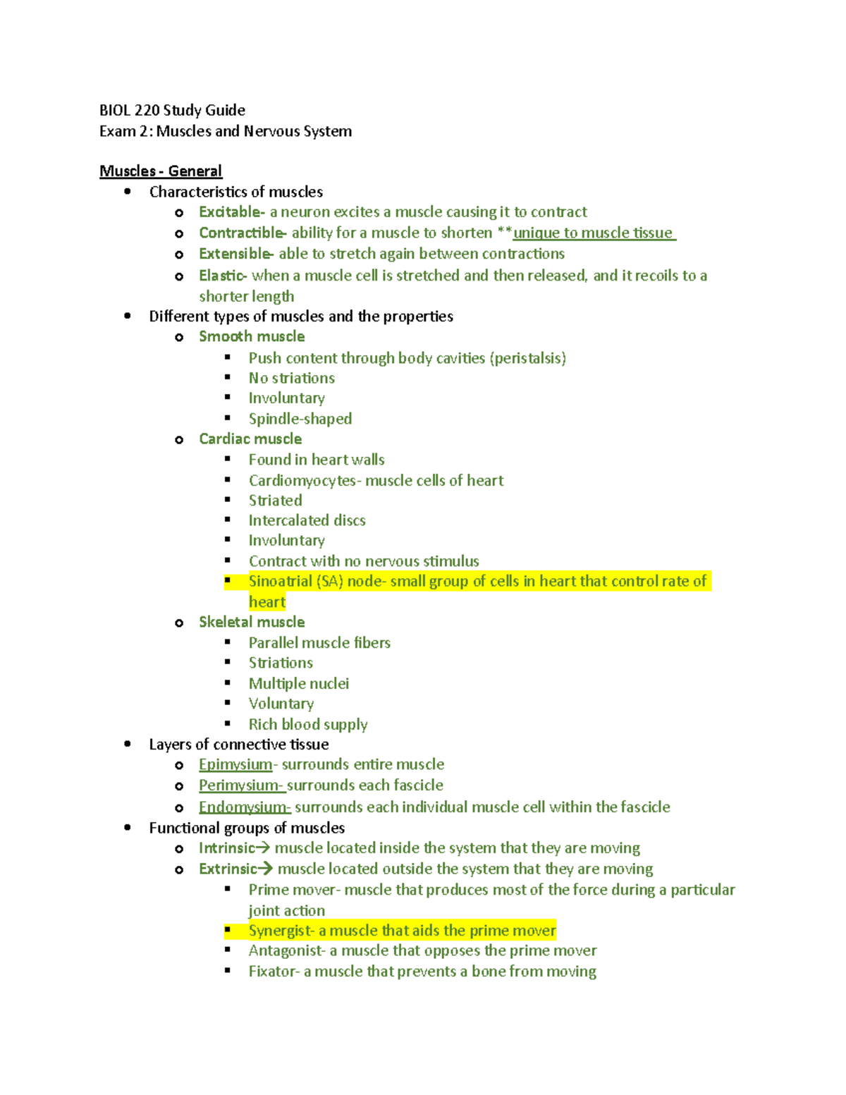 BIOL 220 Study Guide - BIOL 220 Study Guide Exam 2: Muscles and Nervous ...
