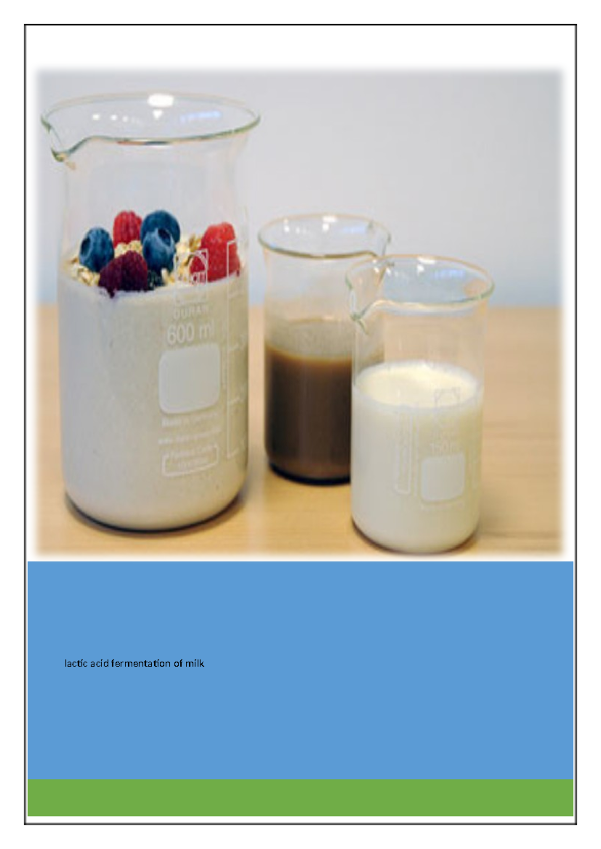 Lactic acid fermentation of milk - lactic acid fermentation of milk ...