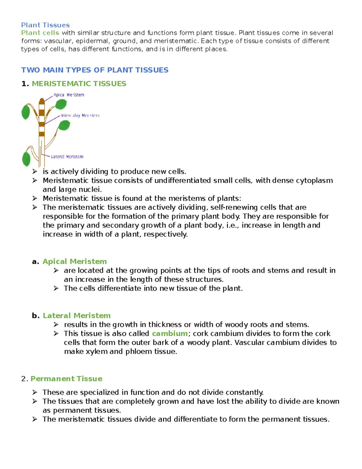 Plant Tissues Overview - Gen-Bio Study Notes - Studocu