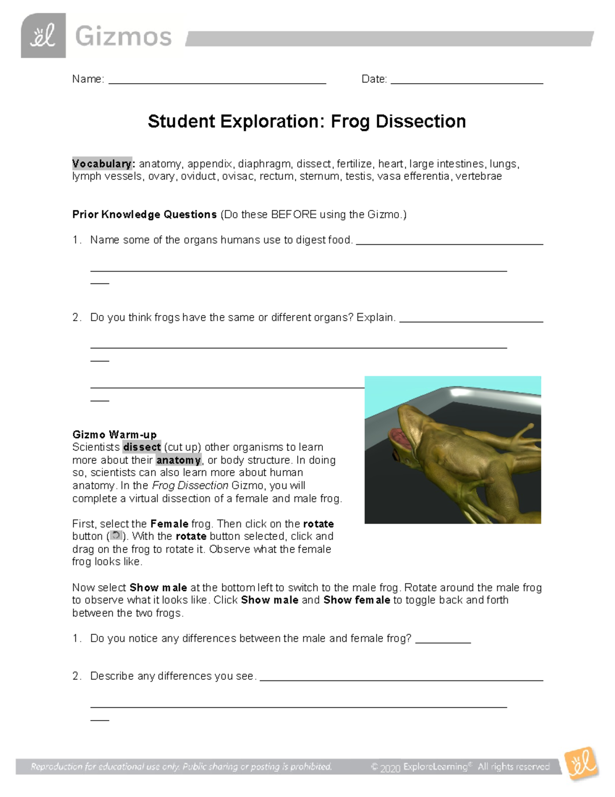 Frog Dissection SE 1 - Student Exploration Guide on Anatomy - Studocu