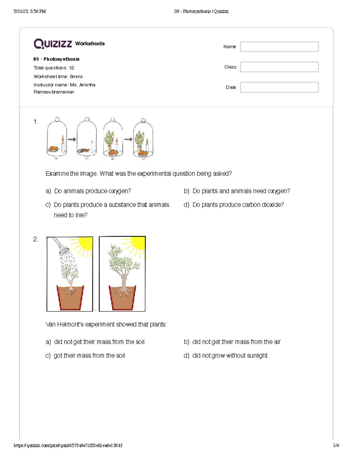 09 - Photosynthesis Quiz Worksheet for Class Assessment - Studocu