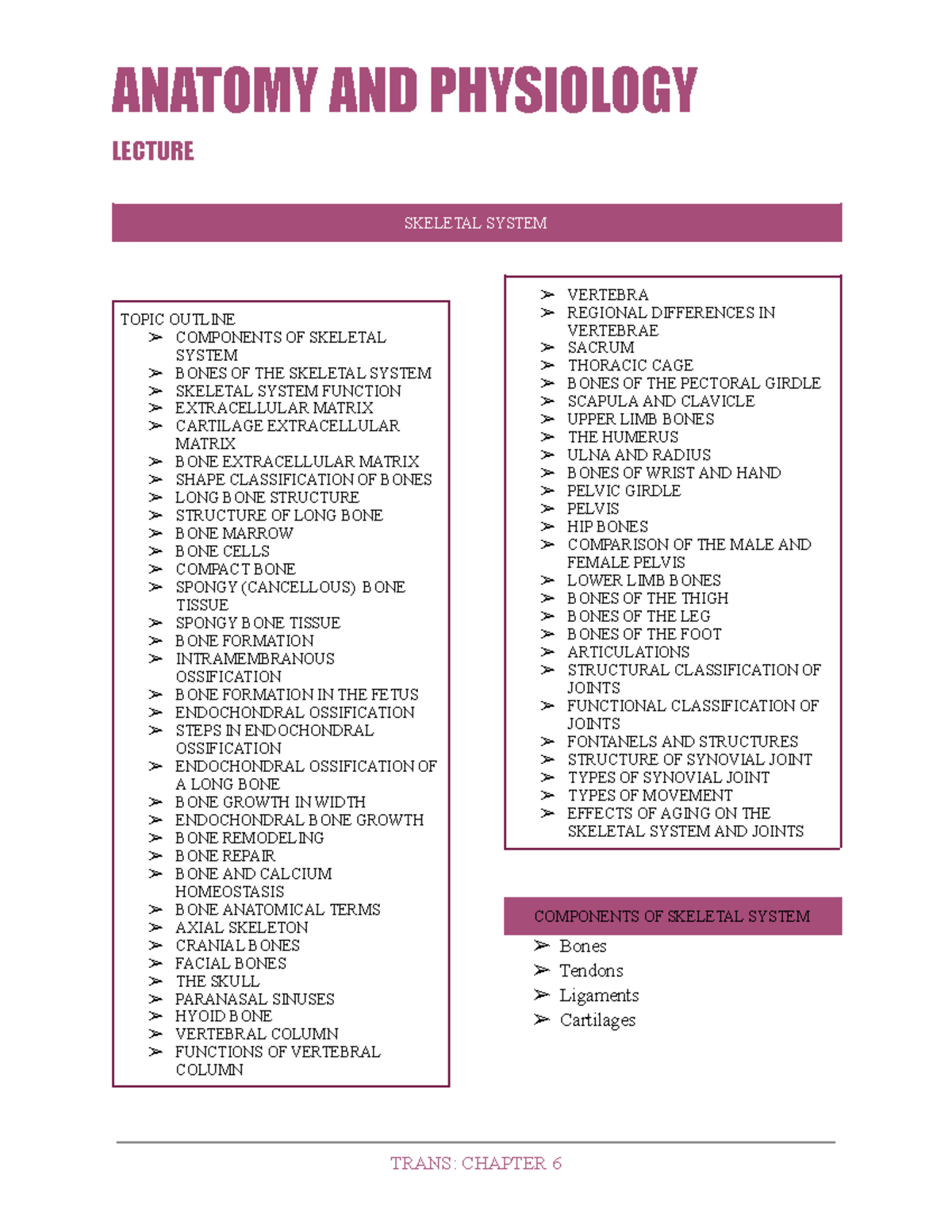 ANAPHY 6: SKELETAL SYSTEM LECTURE NOTES AND OUTLINE - Studocu
