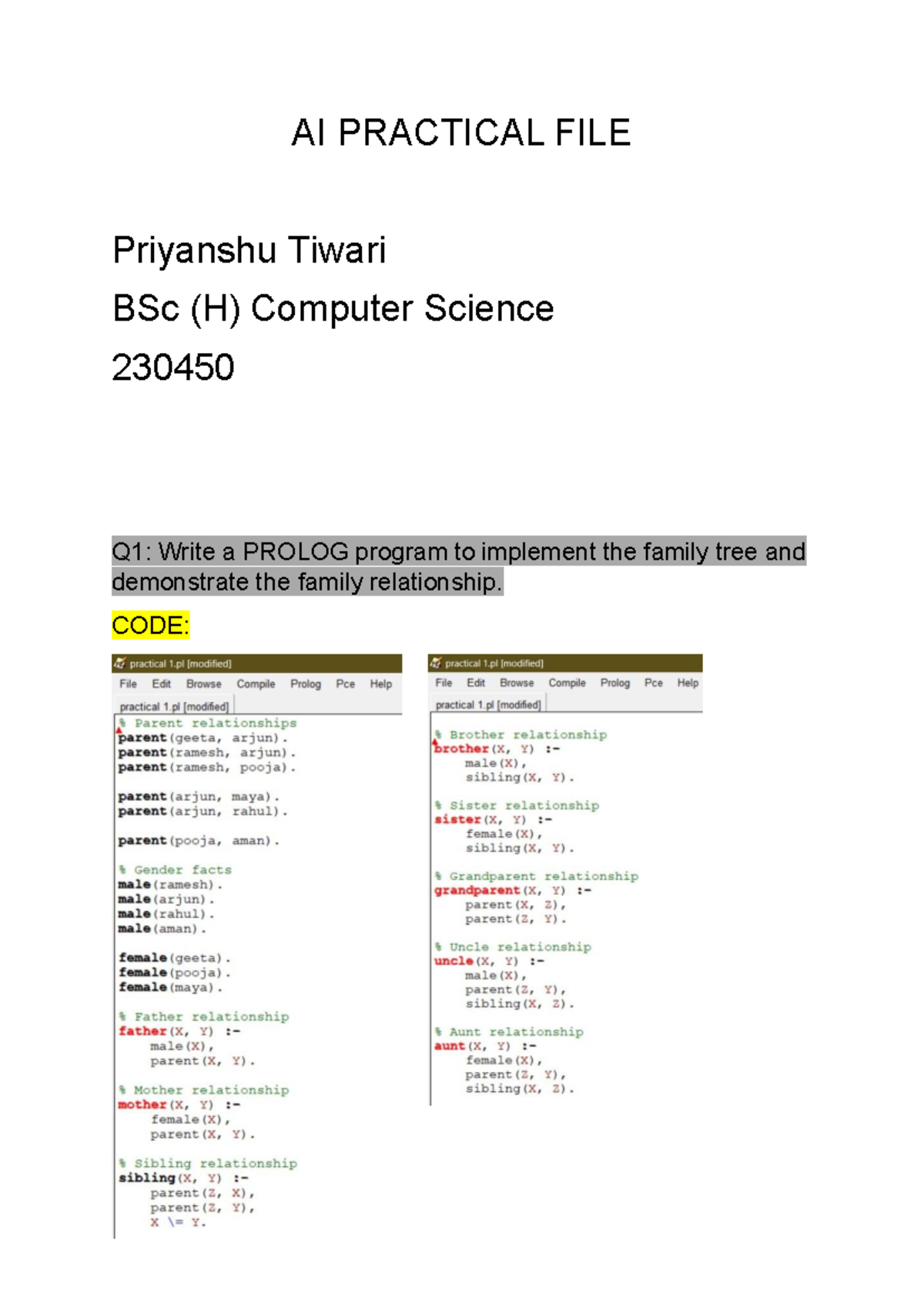 AI Practical File: PROLOG Programs for Family Tree & More (BSc 230450 ...
