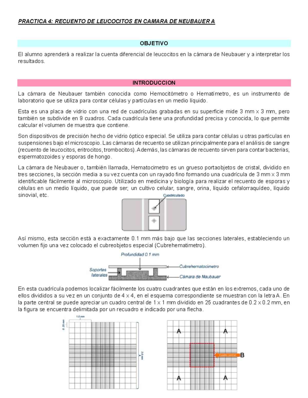 Práctica 4 - Conteo Diferencial de Leucocitos en Cámara de Neubauer ...