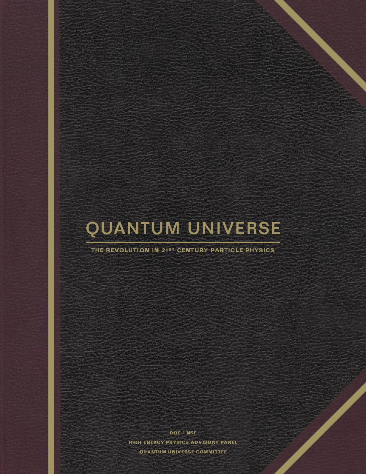Quantum Universe GR SP - A Revolution in 21st Century Particle Physics ...