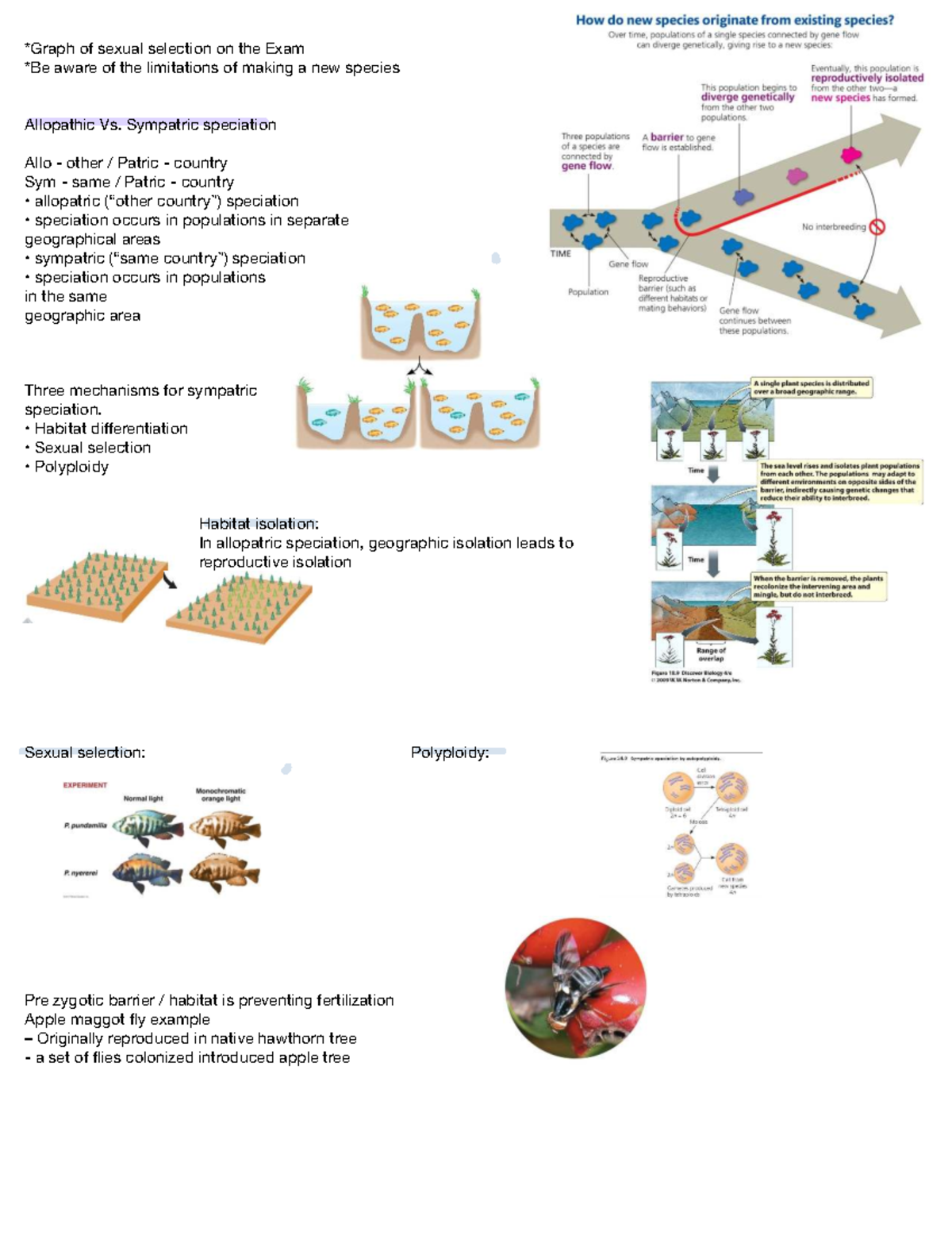 Mechanisms of Speciation: Allopatric vs. Sympatric Insights Exam - Studocu