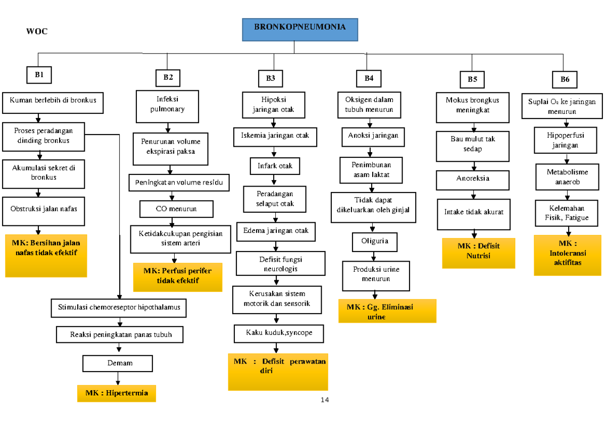 WOC BRONKOPNEUMONIA Analysis & Assessment Notes - Studocu