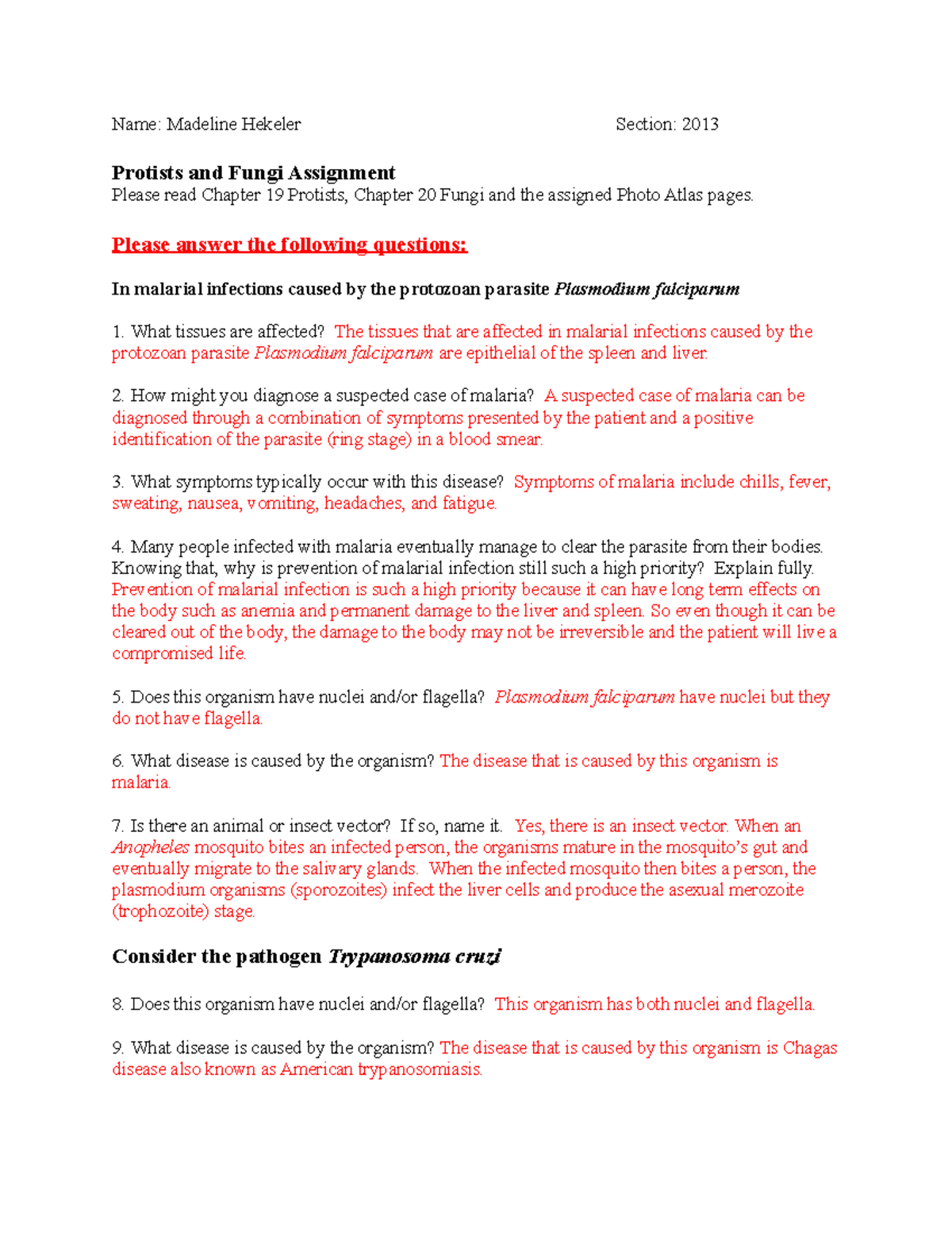 Bio 245 Protists & Fungi Assignment: Key Questions and Answers - Studocu