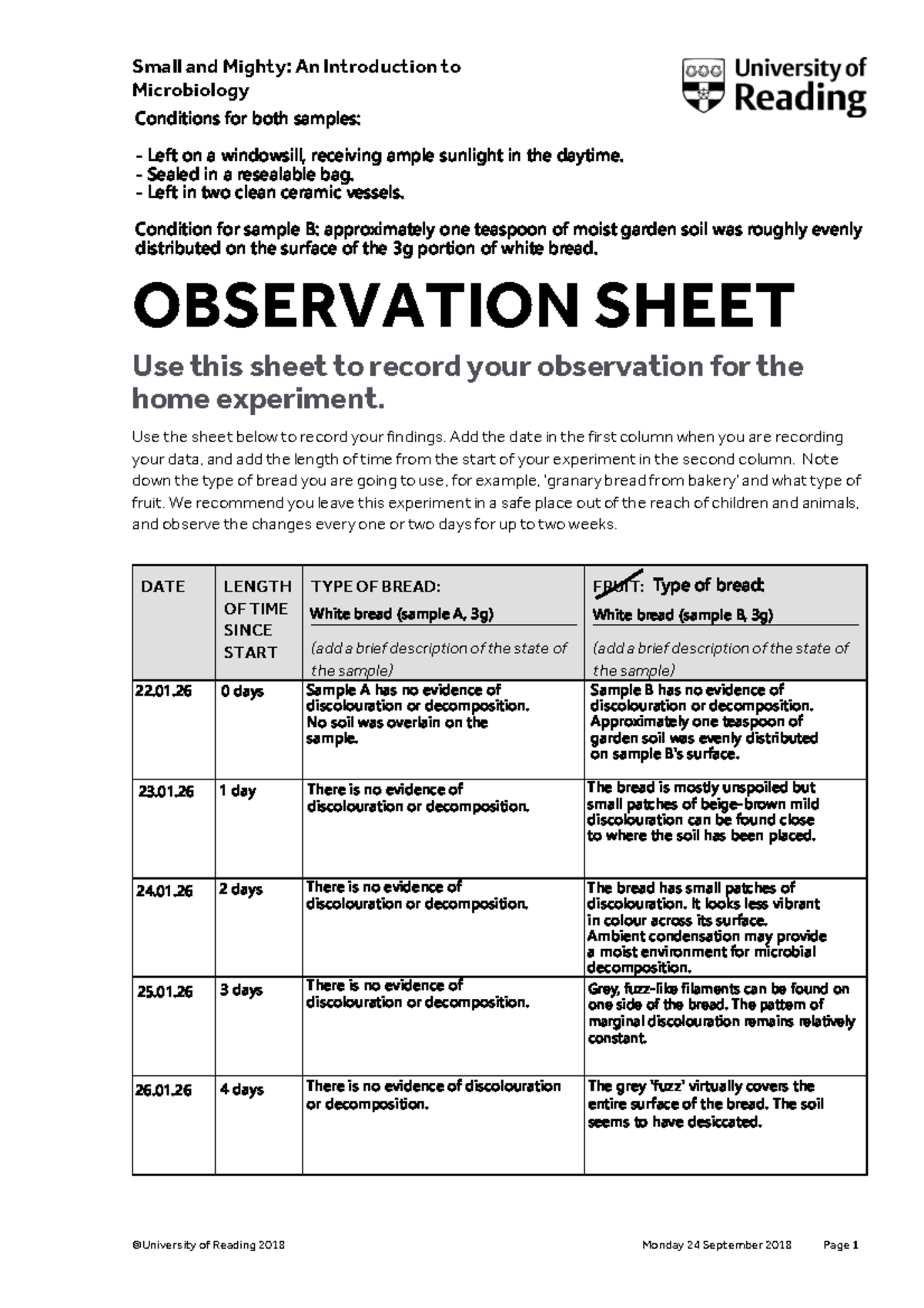 Observation Sheet: Microbiology Experiment on Bread Samples - Studocu