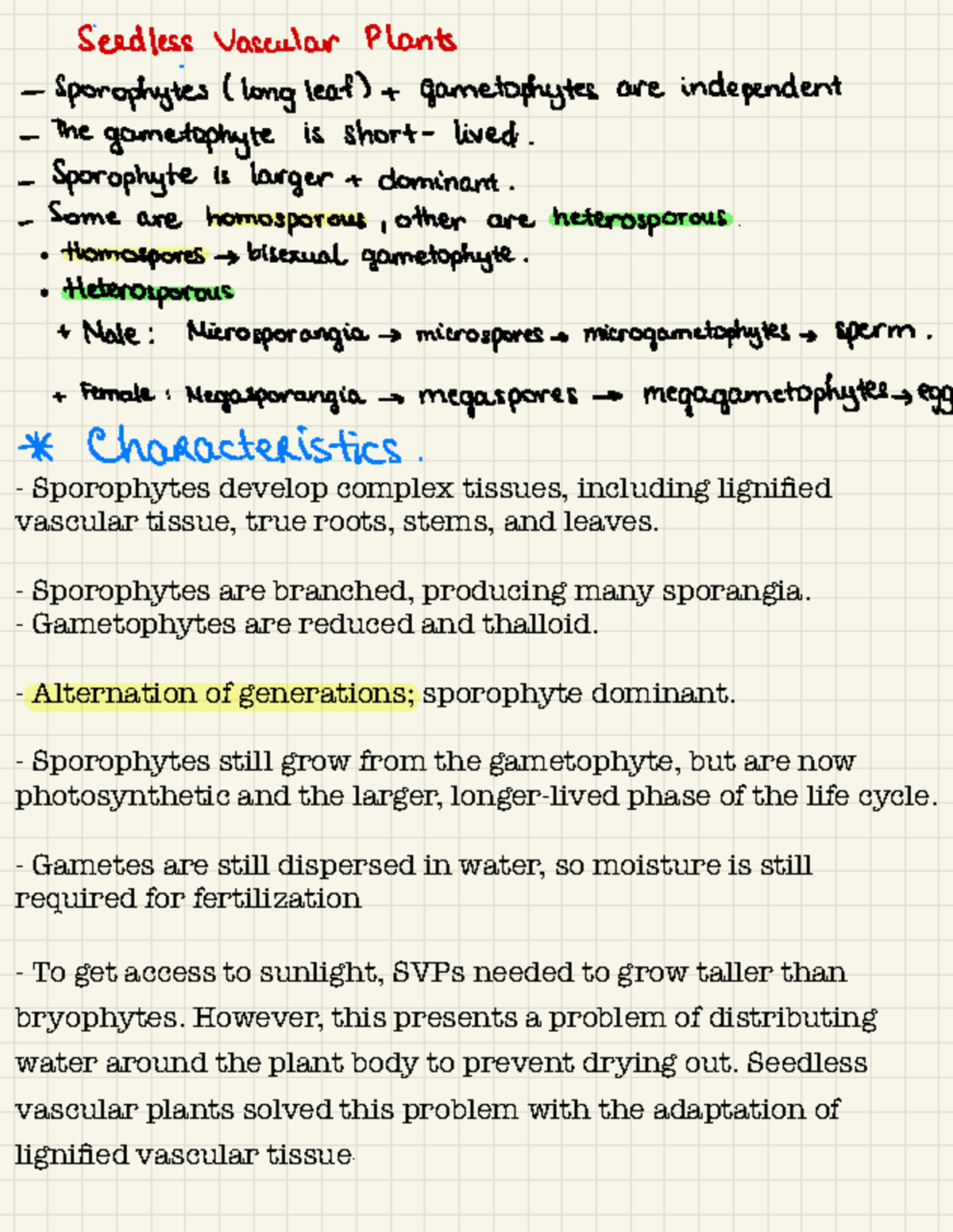 Biol 231 Seedless Vascular Plants Overview and Life Cycle - Studocu