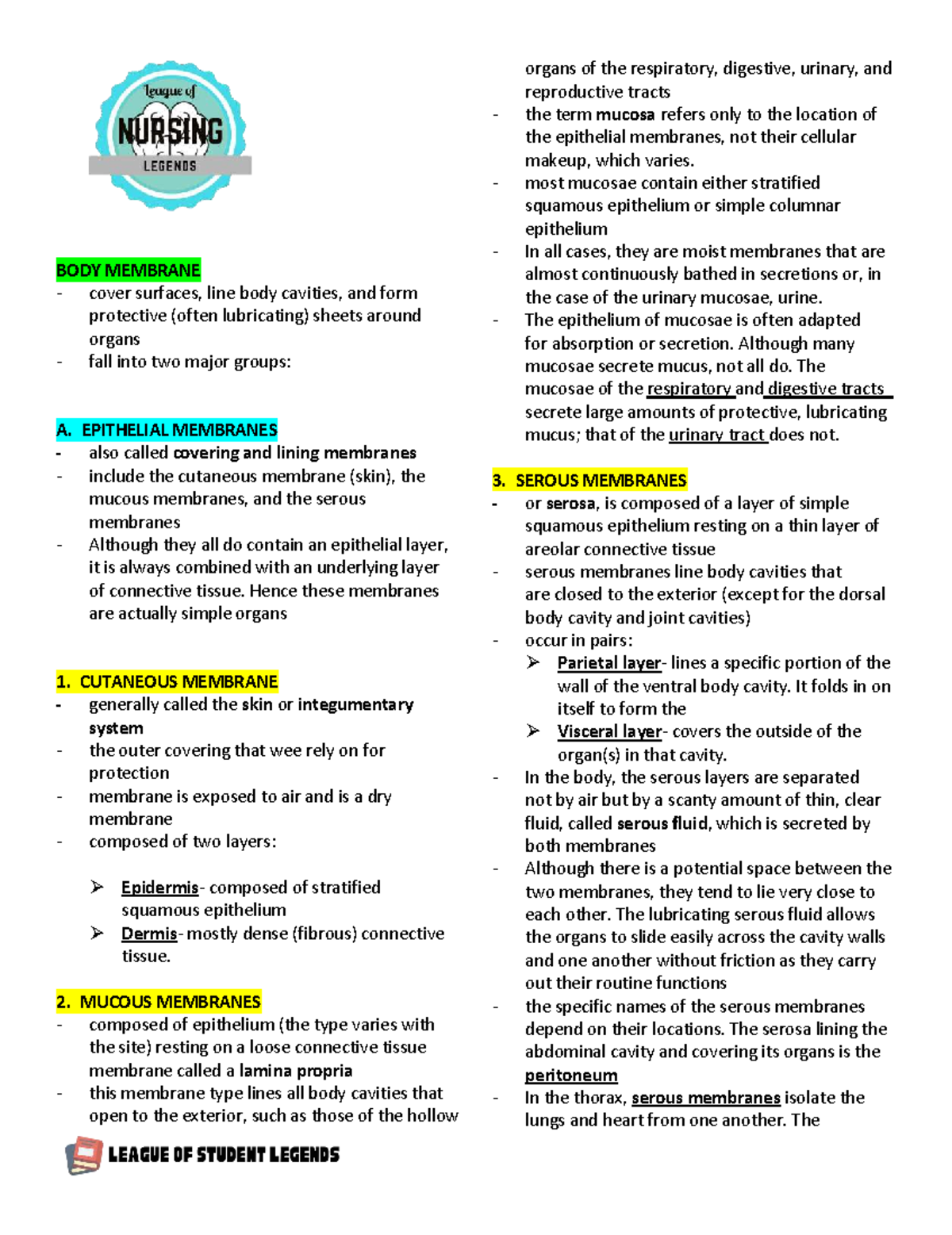 Integumentary System Overview: Body Membranes and Skin Structure - Studocu