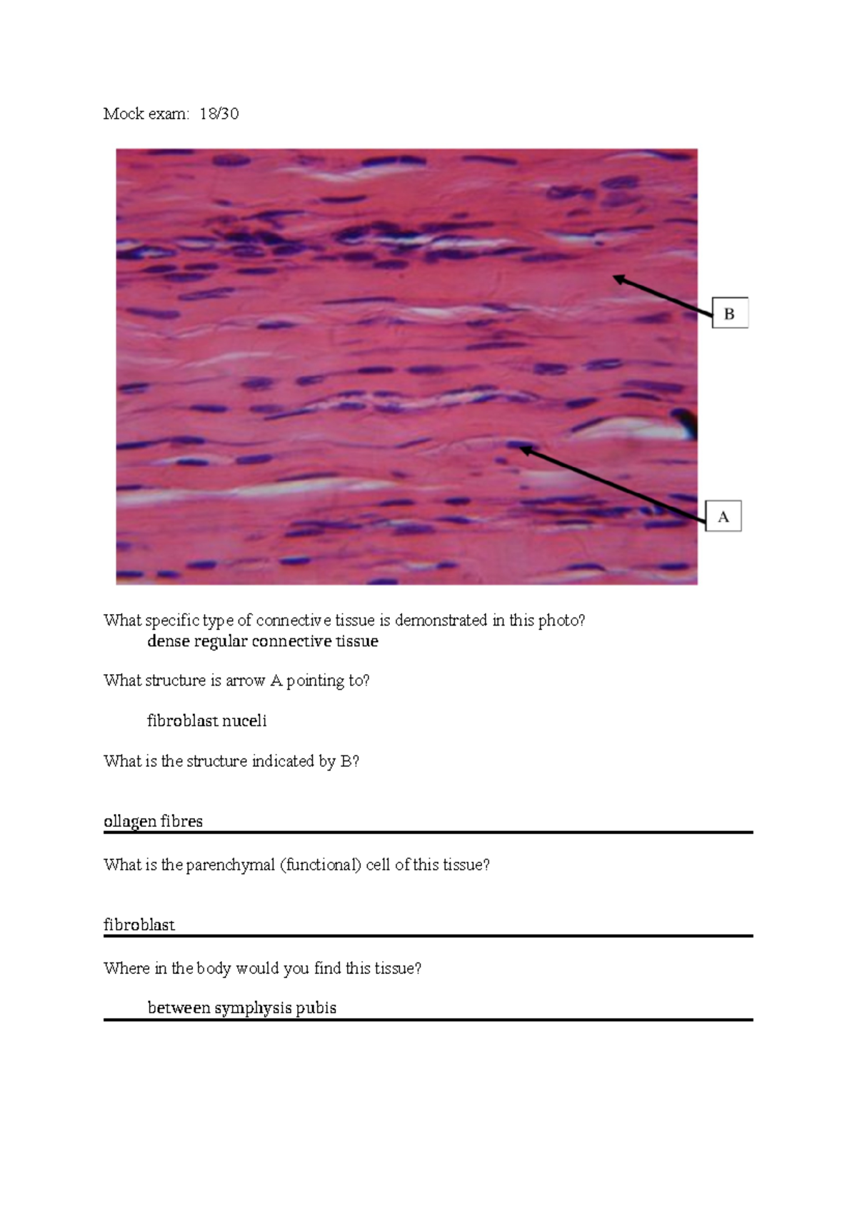 Mock Exam - Intra Sem Practice on Connective Tissue & Pathologies - Studocu