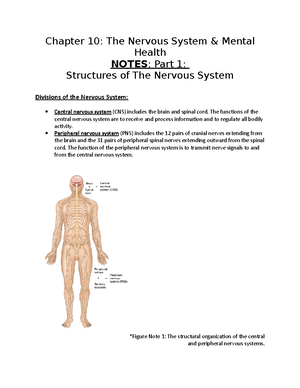Chapter 14 Overview of The Reproductive System - Major Structures ...