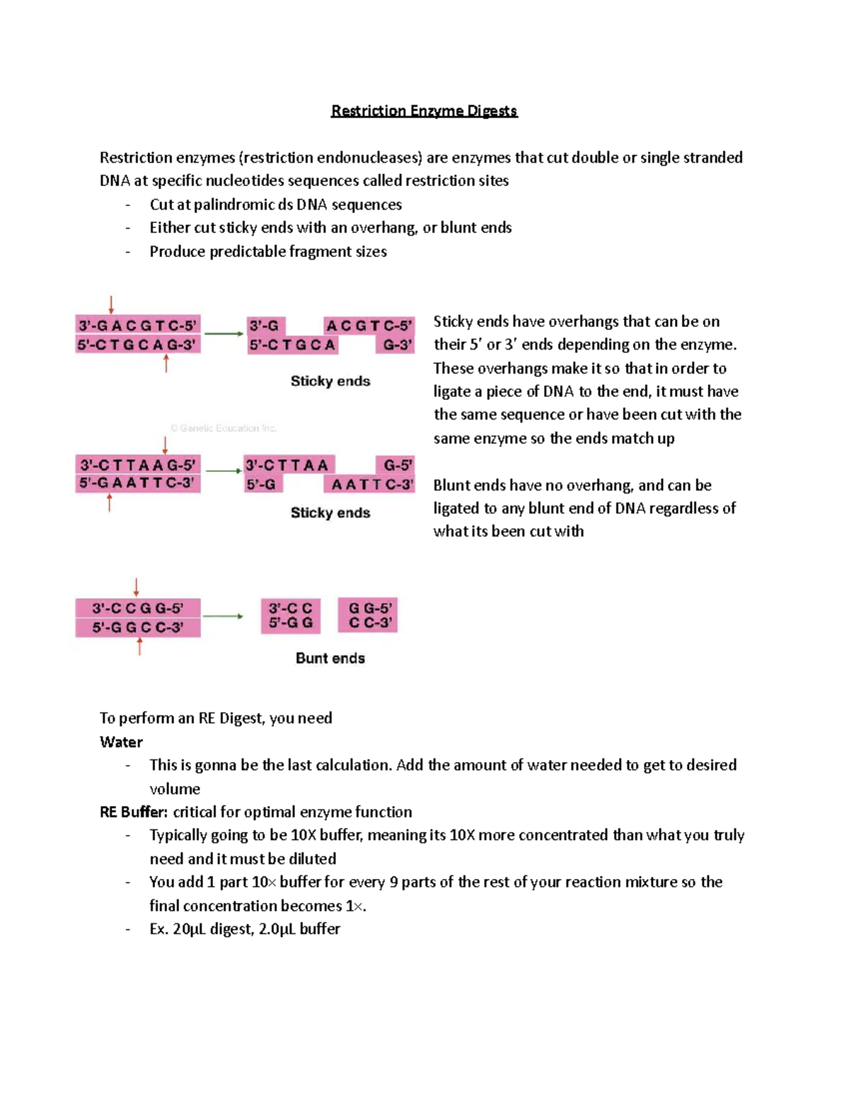 In-Lab Practical Notes on Restriction Enzyme Digests - Studocu
