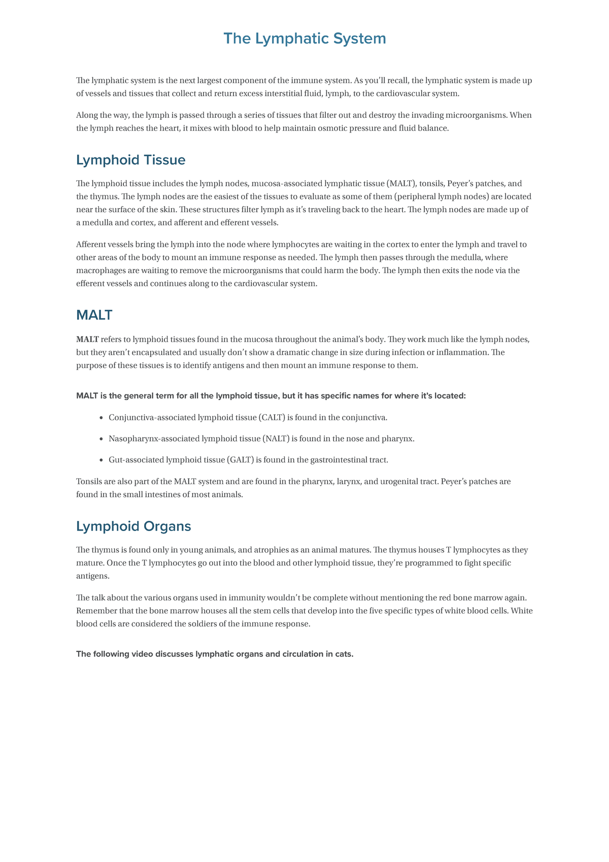 Lymphatic System Overview: Key Functions & Organs Explained - Studocu