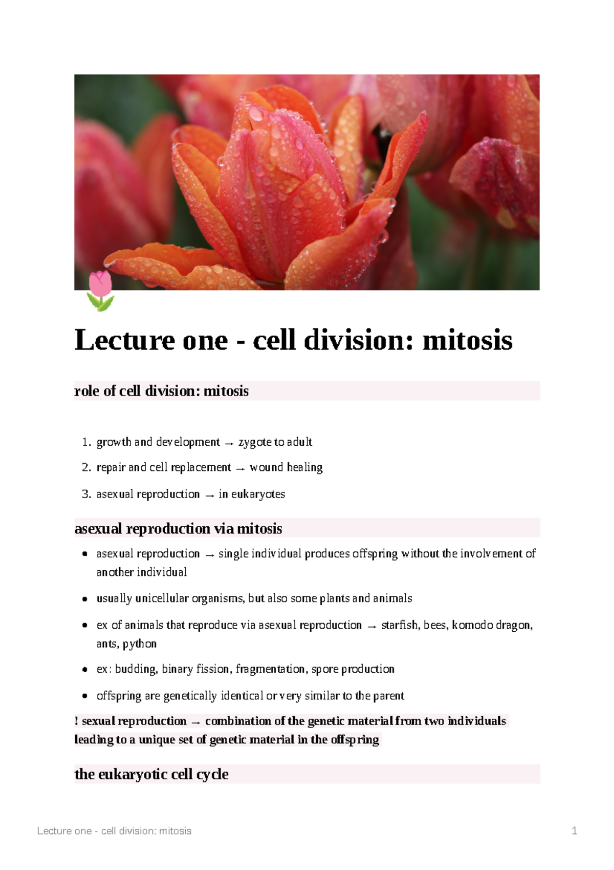 cell division mitosis (notes) - 🌷 Lecture one - cell division: mitosis ...