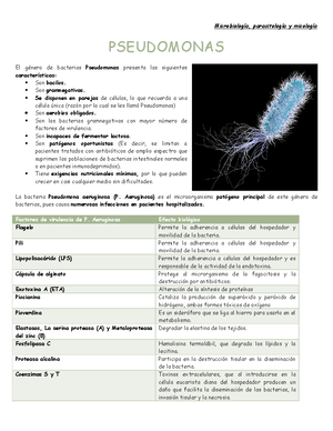 Enterobius Vermicularis - ENTEROBIUS VERMICULARIS Enterobiasis ...