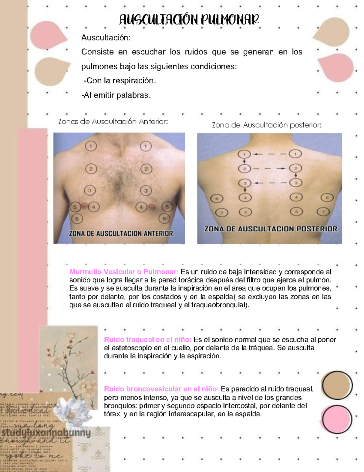 Auscultación - ...... - AUSCULTACIÓN PULMONAR Auscultación: Consiste en ...