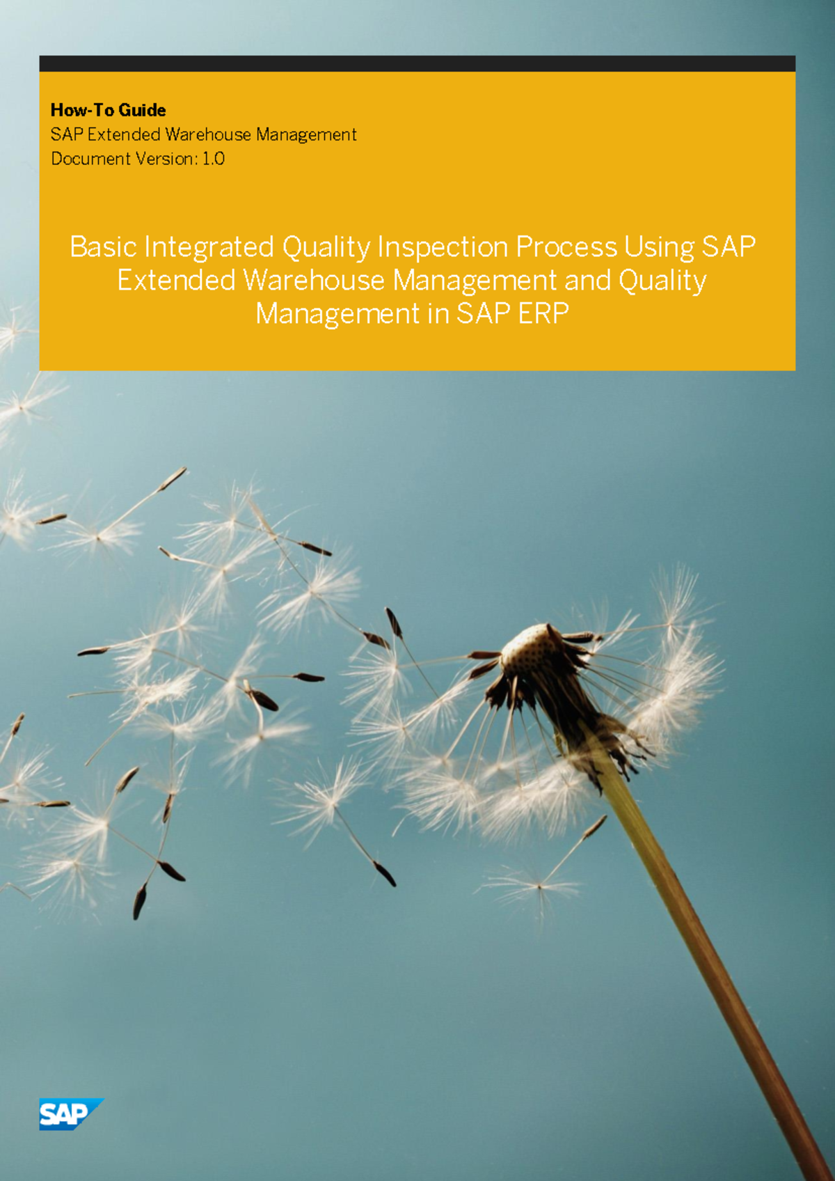 How To Guide EWM QM: Integrated Quality Inspection Process Overview ...