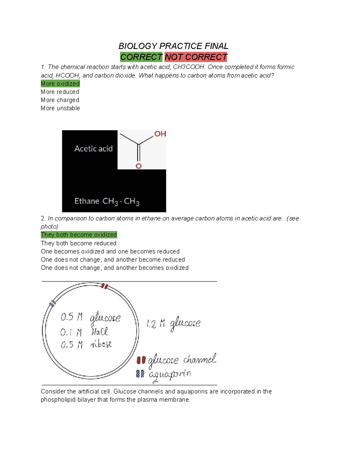 BIO 101 Practice Final Exam: Key Concepts and Questions - Studocu