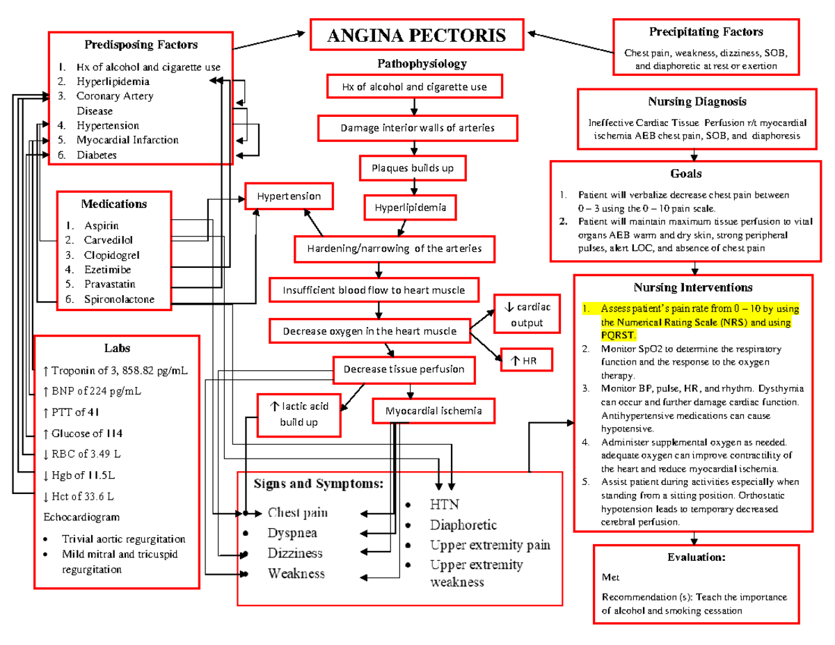 Angina Pectoris: Pathophysiology, Factors, & Nursing Interventions ...