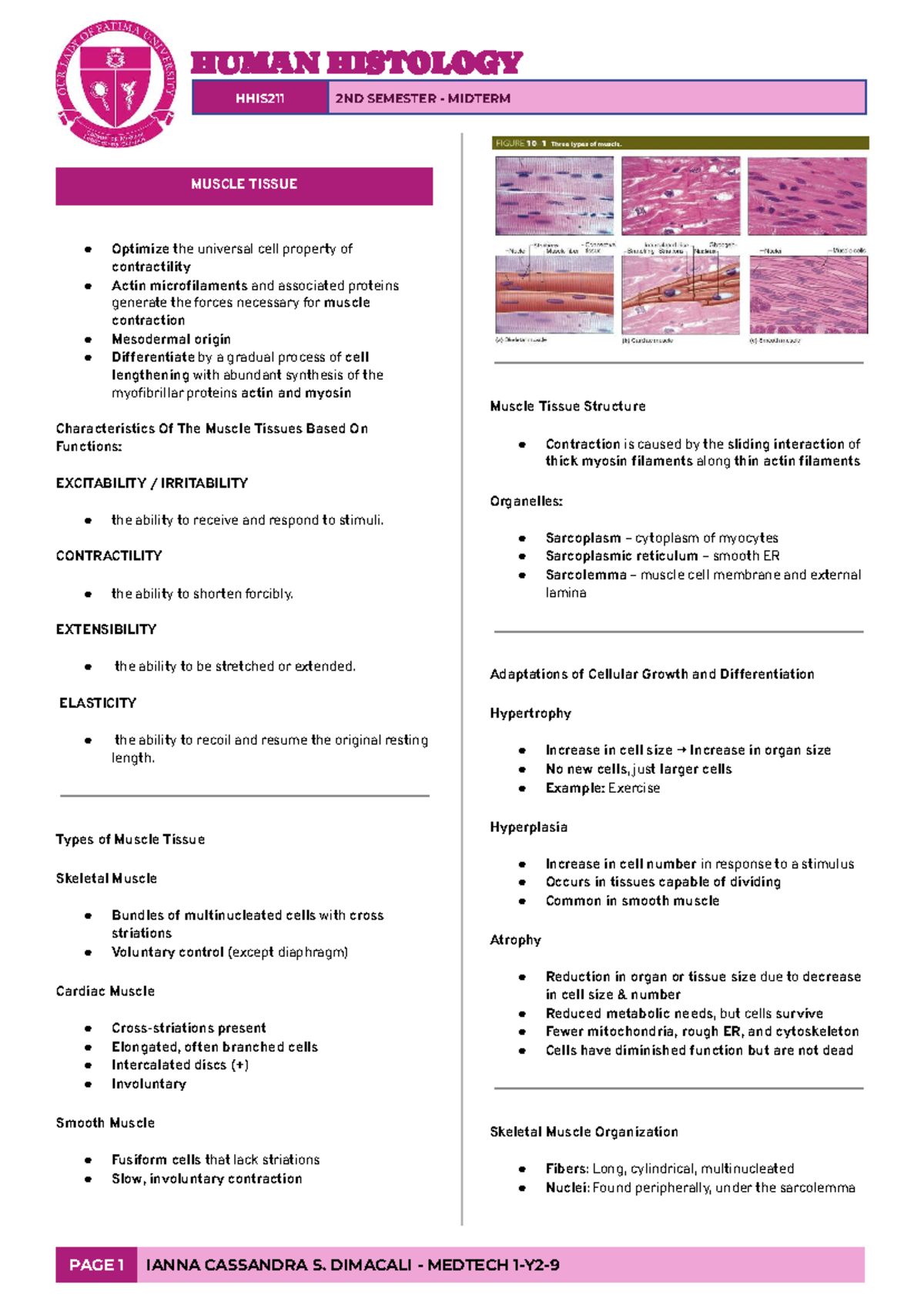 Human Histology Midterms Reviewer - HUMAN HISTOLOGY HHIS211 2ND ...