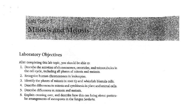Lab Topic 7: Mitosis and Meiosis - Laboratory Objectives and Procedures ...