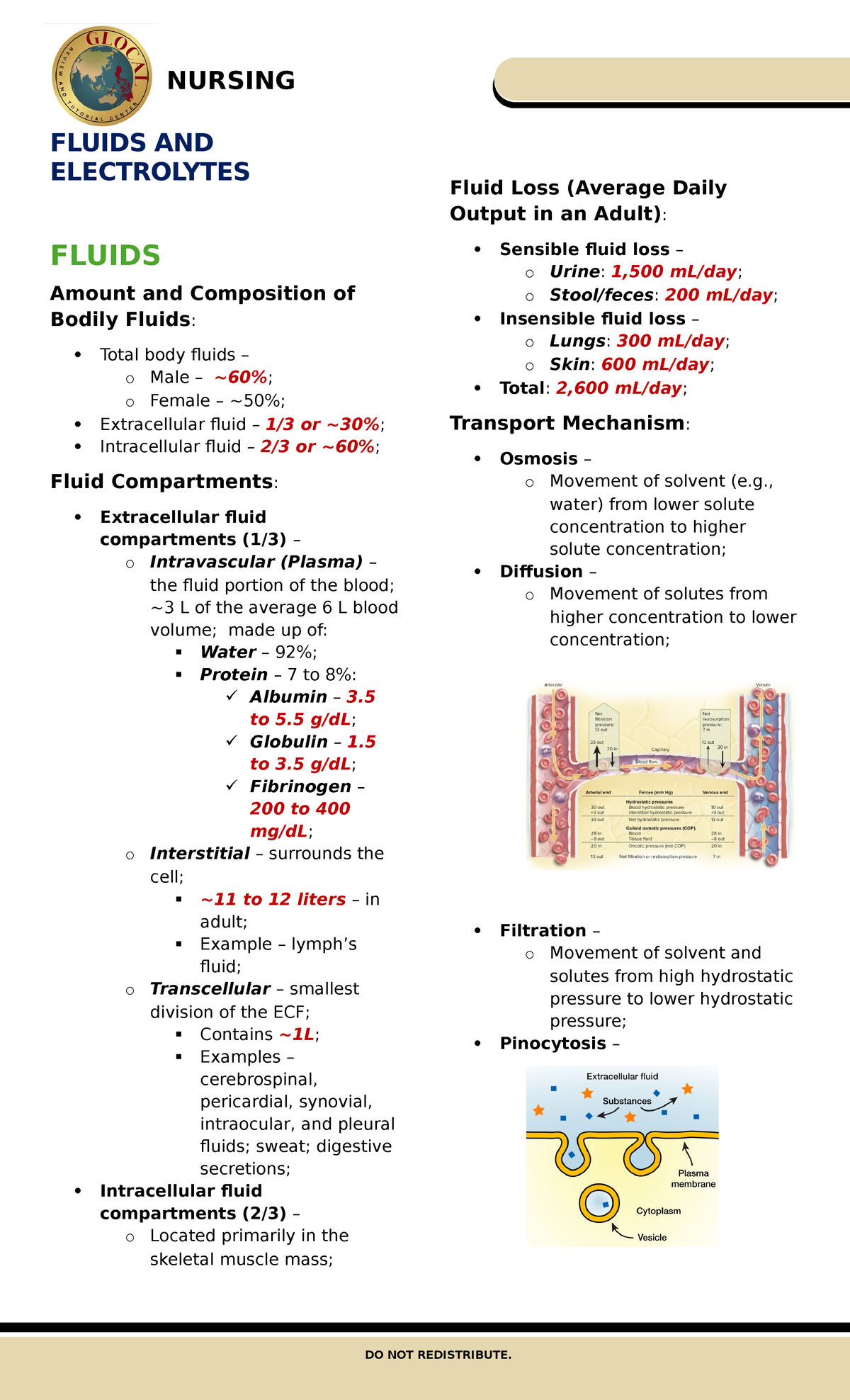 NURS 101: Fluids and Electrolytes Overview and Key Concepts - Studocu