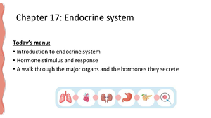 Genetic Control of Plant and Animal Development: ABC Model & Homeotic ...