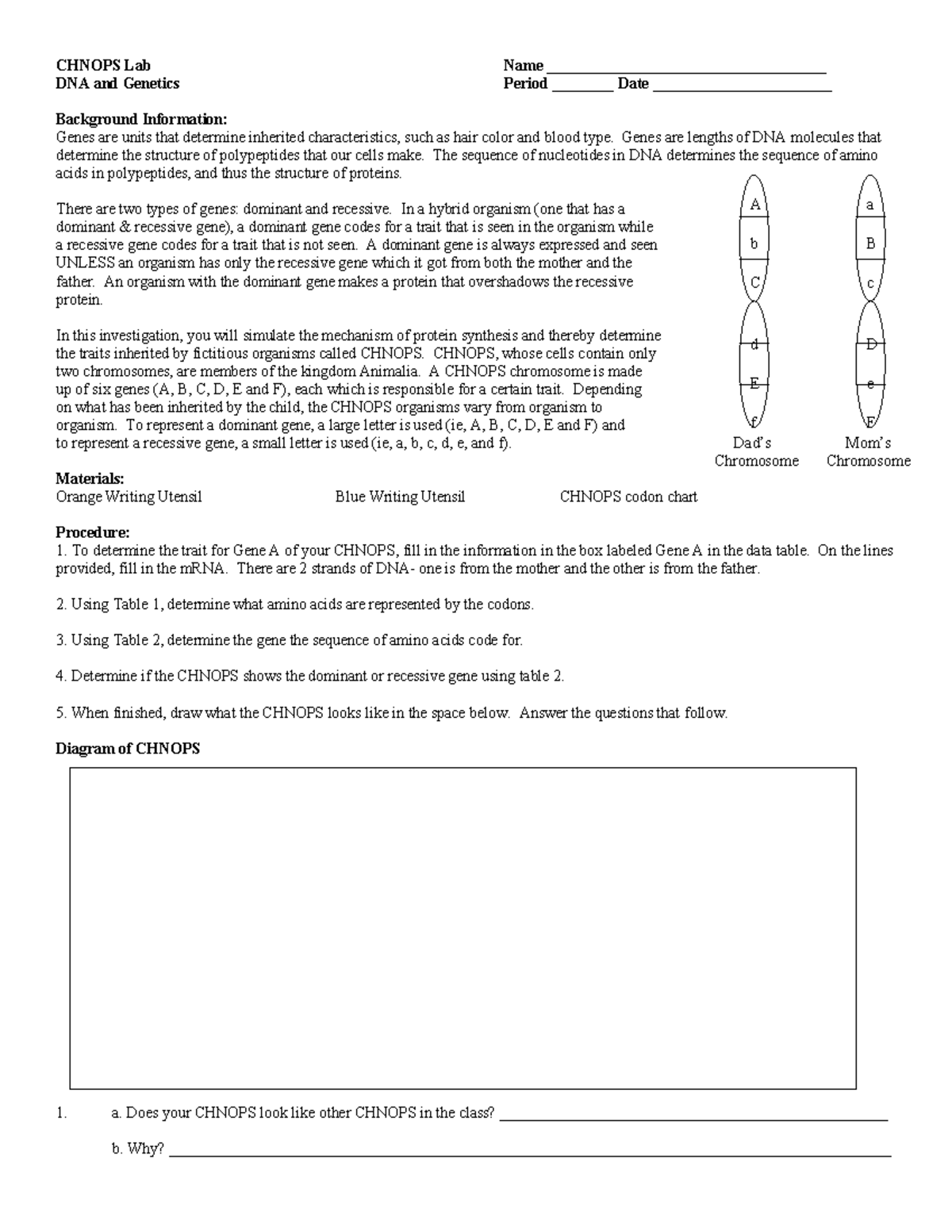 113 MED BIO CHNOPS Lab: DNA & Genetics Investigation - Studocu