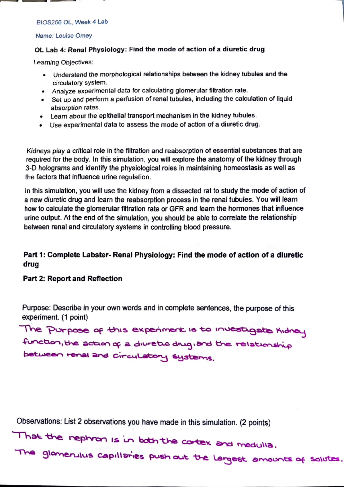 Bio256lab4 - Week 4 lab - 810S256 OL, Week 4 Lab Name: Louise Omey OL Lab 4: Renal Physiology ...