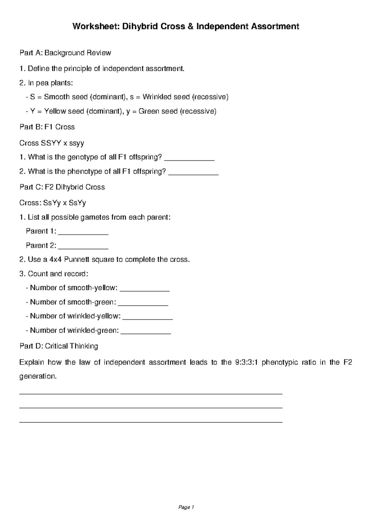 Dihybrid Cross Worksheet: Independent Assortment Review - Studocu