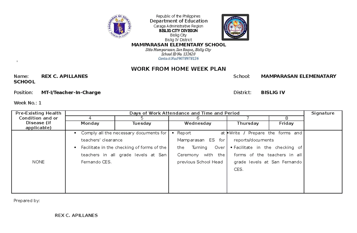 School Brigada Accomplishment Report - CAPAYACAN ELEMENTARY SCHOOL ...
