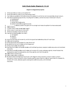 BIO 210 Lab 6 Exercise - answers - BIO 210 Anatomy and Physiology I - D. BELSER Lab 6 ...