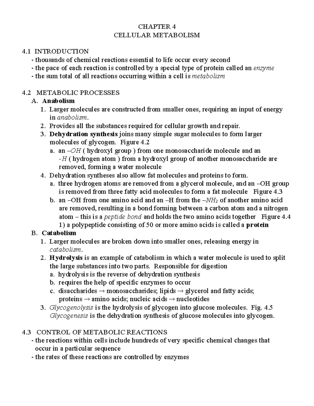 CHAPTER 4 CELLULAR METABOLISM: METABOLIC PROCESSES & ENZYME ACTION ...