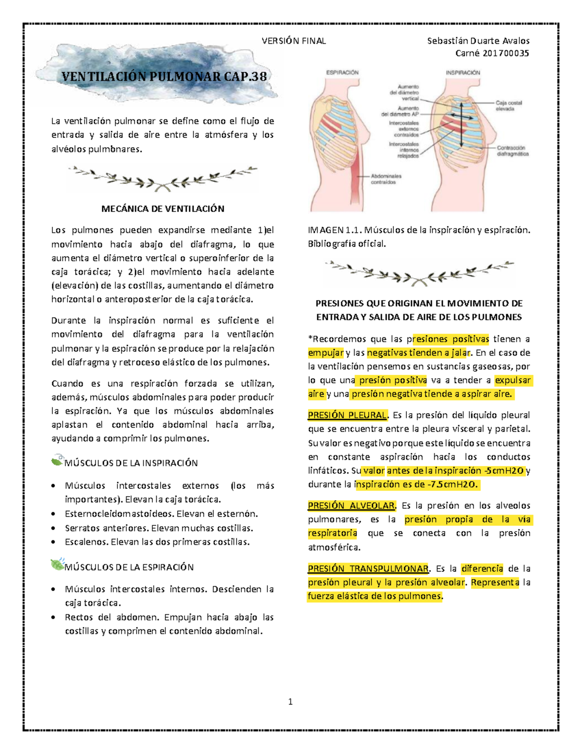 Cap. 38: Ventilación Pulmonar - VERSIÓN FINAL Sebastián Duarte Avalos - Studocu