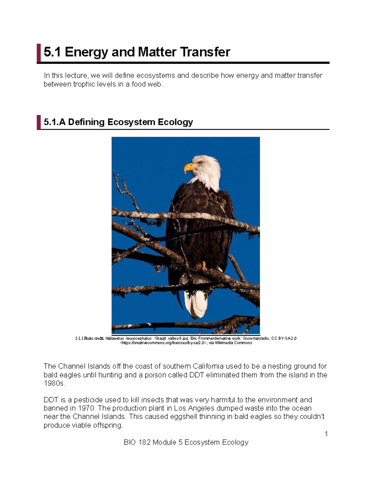 BIO 182 Lecture 5.1: Energy & Matter Transfer in Ecosystems - Studocu