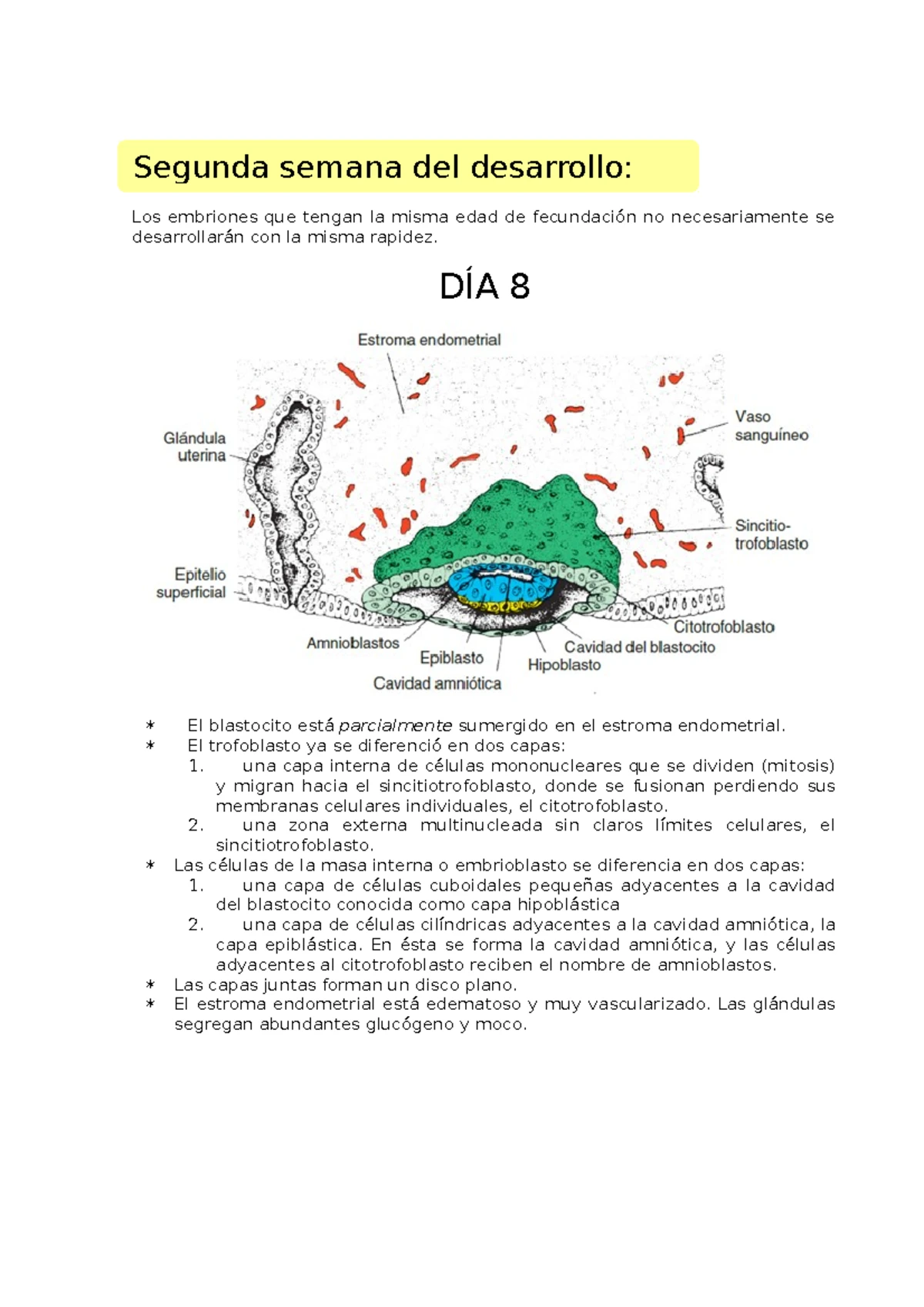Terminologia embriologia - Gameto Una célula reproductora (sexual). En ...