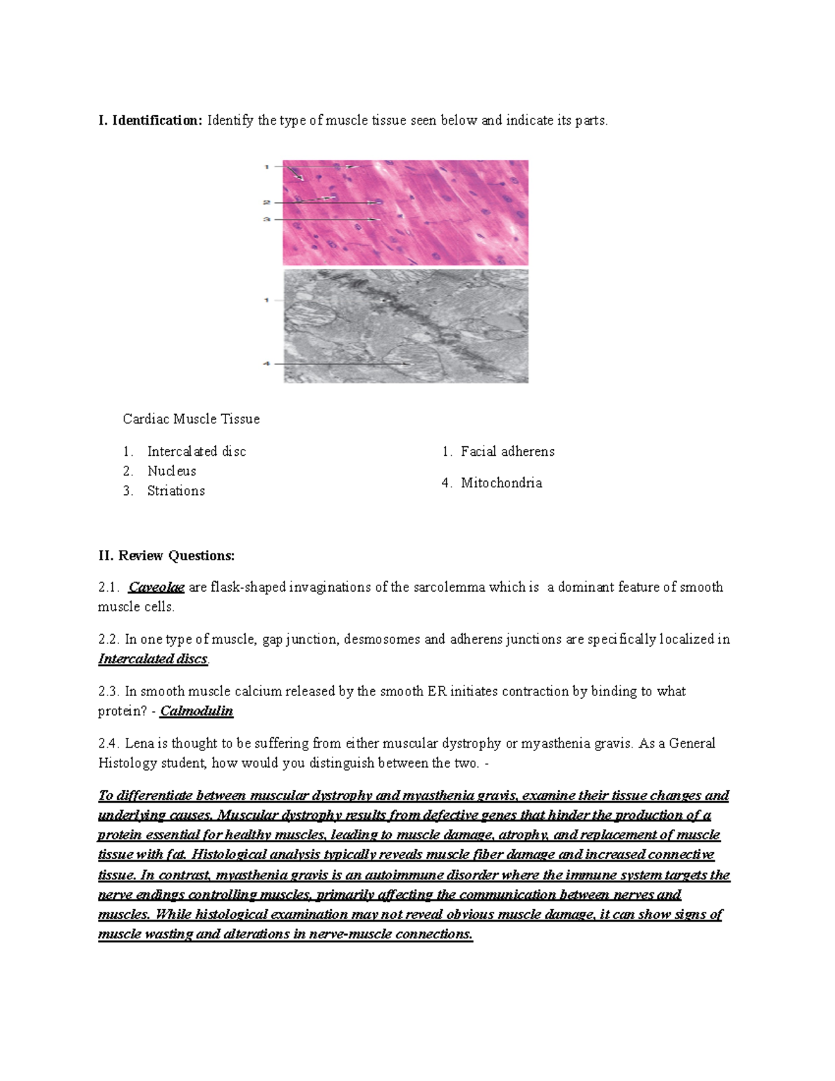 M2 L2 Check-in Activity: Muscle Tissue Identification & Review - Studocu